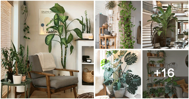 21 Inspiring Indoor Plant Corner Ideas