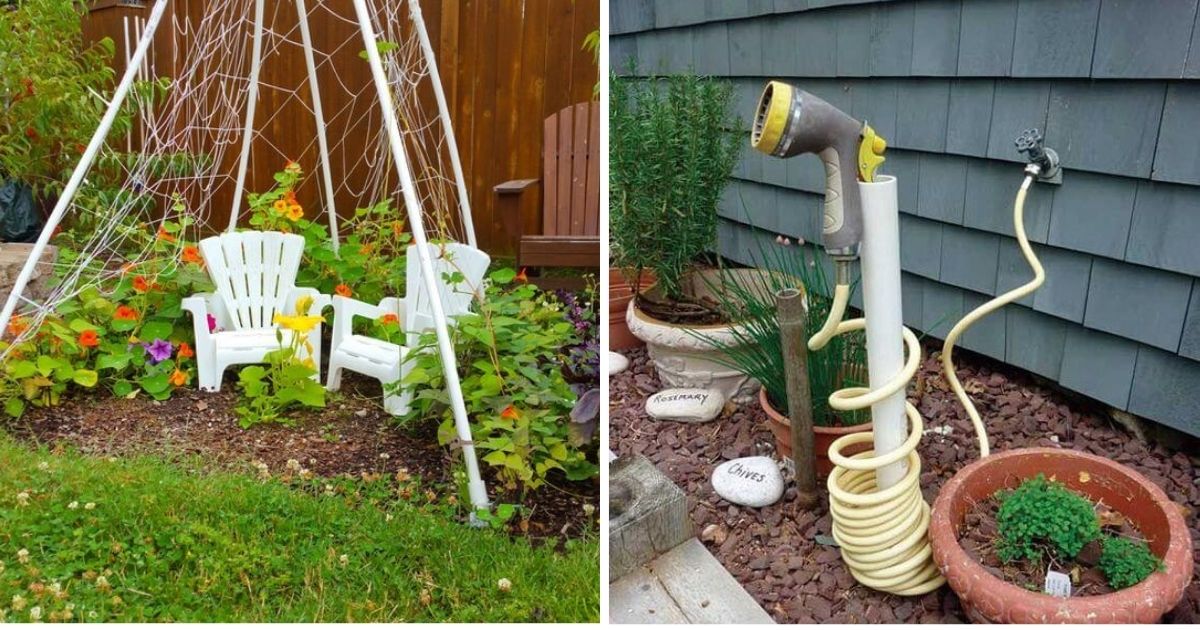 7 Surprisingly Easy Steps To Grow Daffodils From Seeds