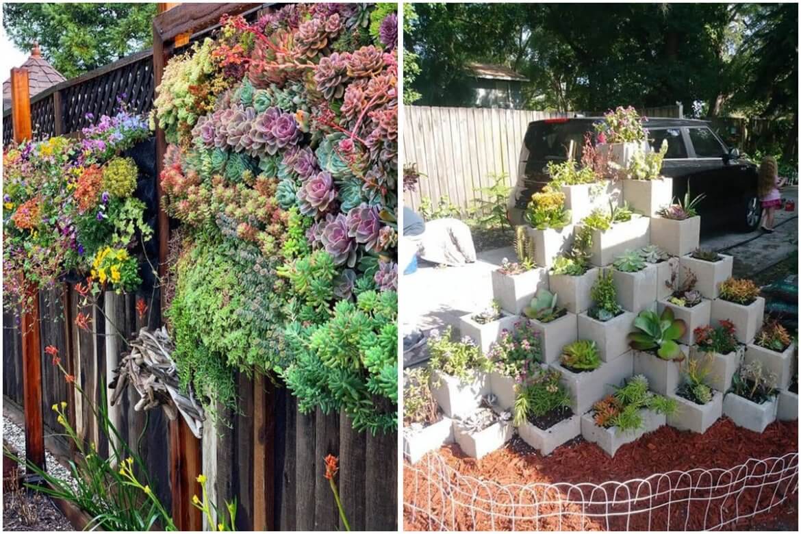 22 Outdoor Succulent Display Ideas