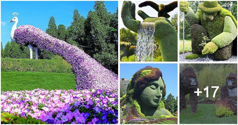 22 Inspiring Montreal Botanic Gardens