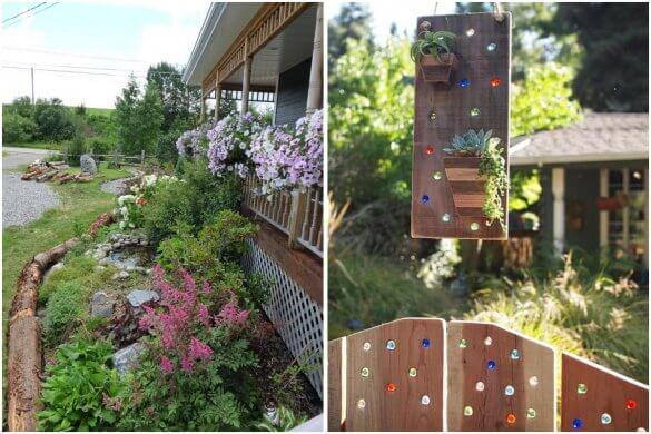 11 Best Climbing Fruits To Grow In The Garden