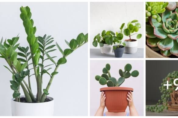 Creative Recycling Room Divider Ideas