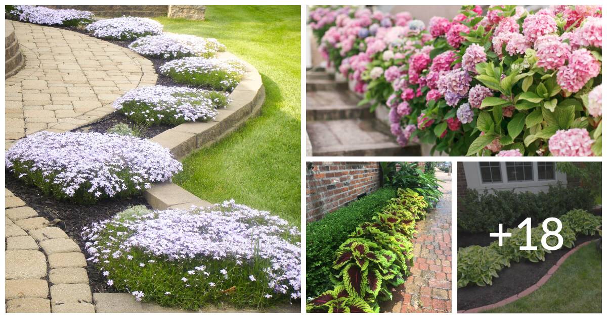 22 Beautiful Plants For A Walkway