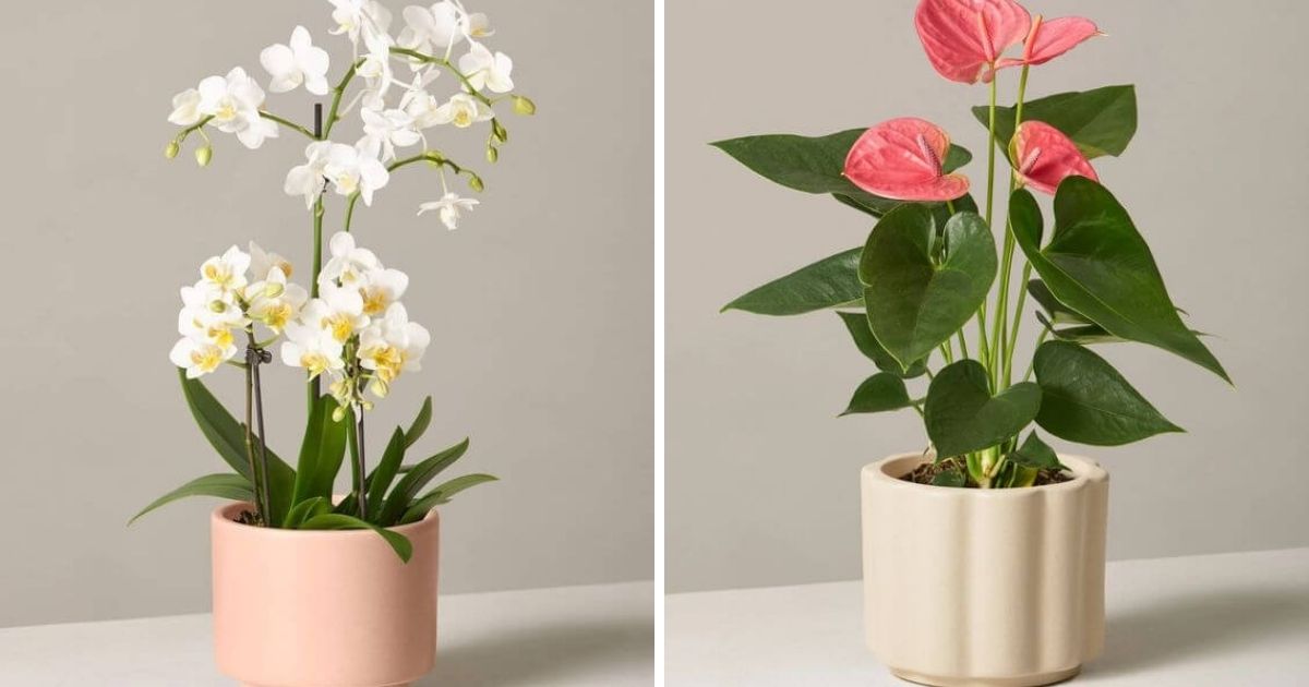 25 Creative Farmhouse Fence Ideas to Infuse Rustic Charm into Your Home ...