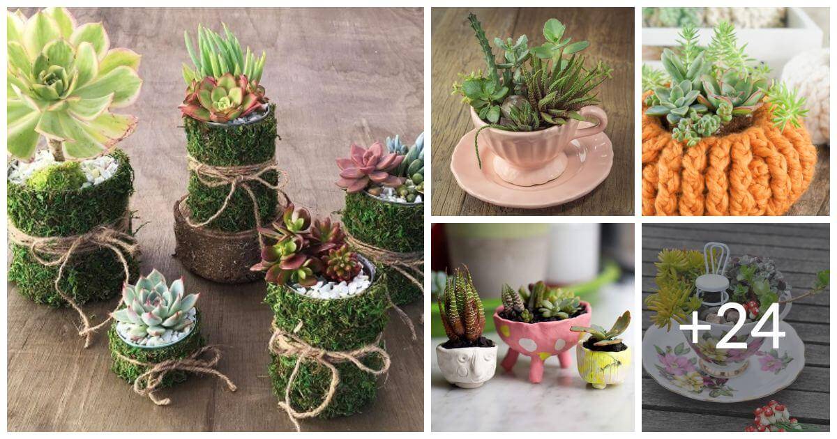 29 Easiest DIY Succulent Planters