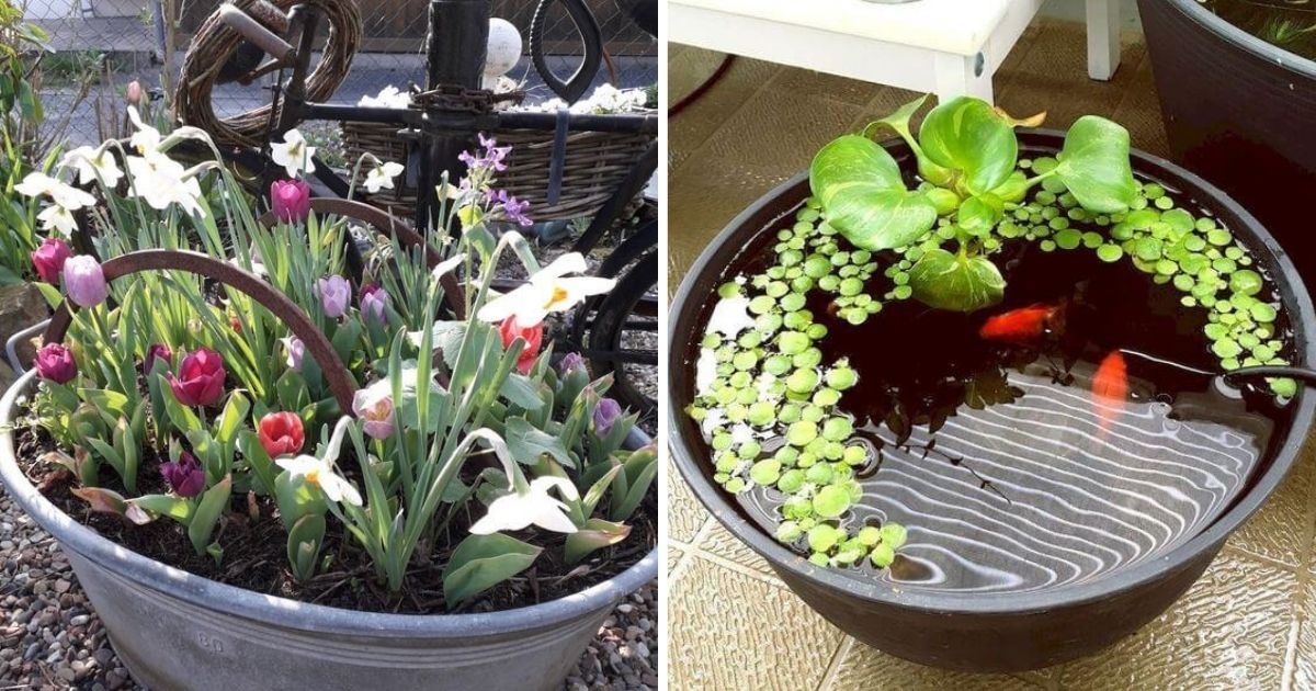 Mini Landscaping Ideas In a Pot That You Can Make Easily