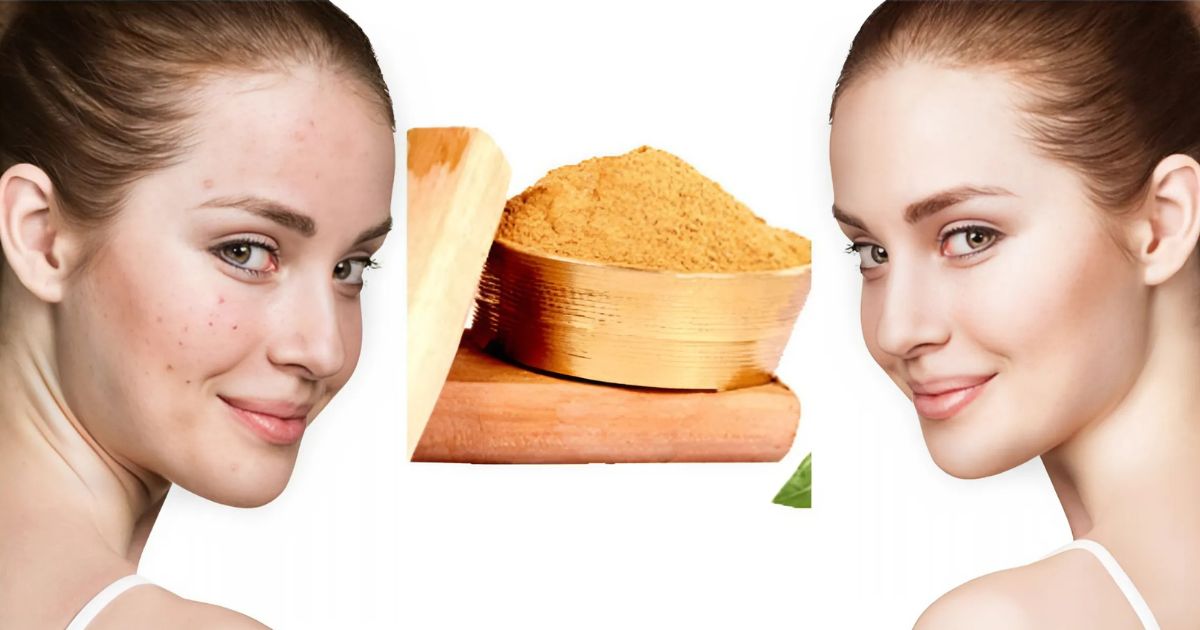 30 Gorgeous Shoulder Tattoos To Inspire Your Next Ink