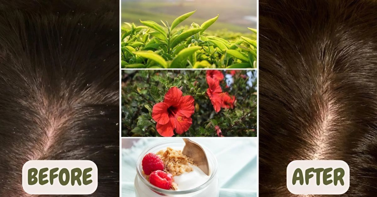 27 Charming Pixie Haircuts To Level Up Your Glam