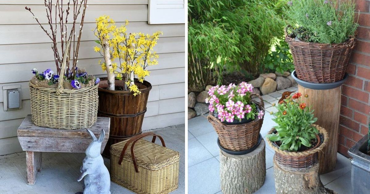 Sassafras Secrets: Why This Ancient Remedy Is Still Relevant Today