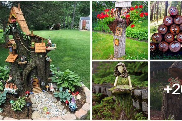 15 Fast-Growing Trees That Will Transform Your Landscape In No Time