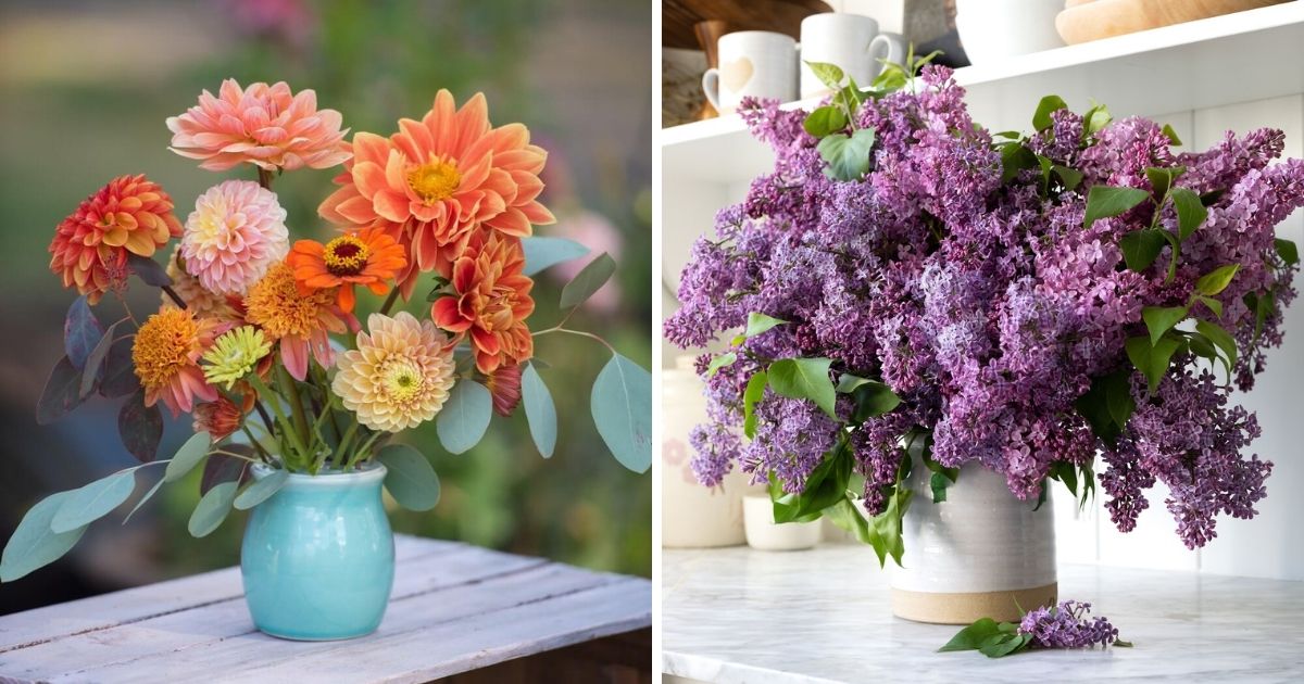 10 Stunning Cut Flowers You Can Propagate from Bouquets Free