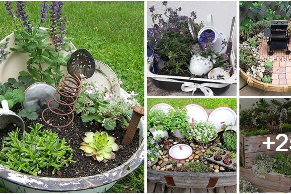 6 Unique Plants That Look Like Humans Body Parts