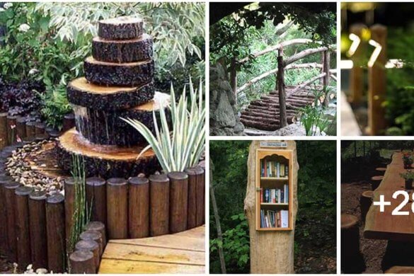 38 Stunning Ideas to Turn Your Boring Garden into a Cool Tropical Garden