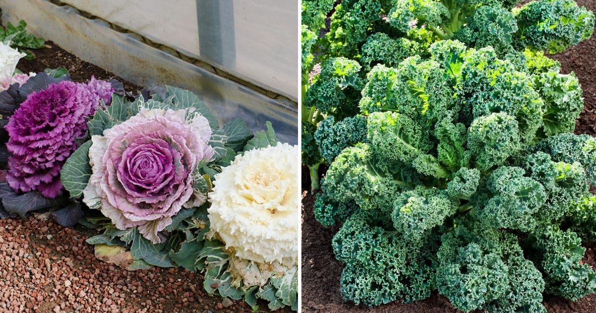 22 Pretty Clay Pot Garden Crafts