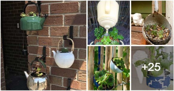 30 DIY Planters From Unused Kitchen Stuff
