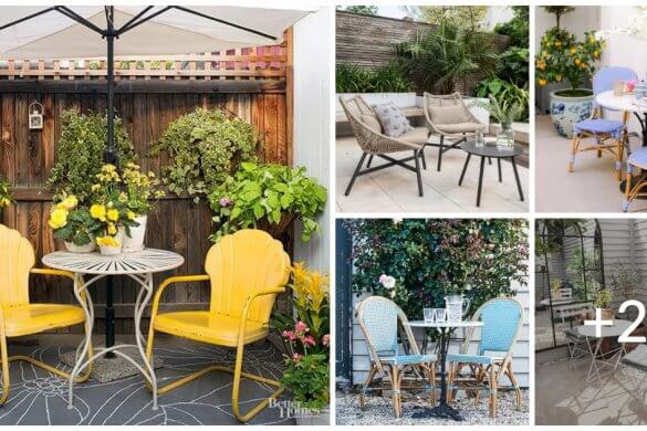 15 Beautiful Flowering Vines for Garden Gates