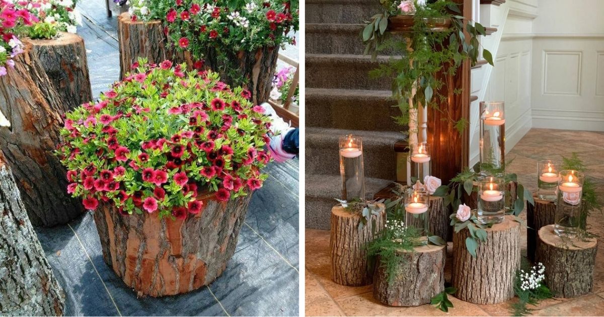 25 DIY Tree Stump Ideas To Spruce Up Every Corner