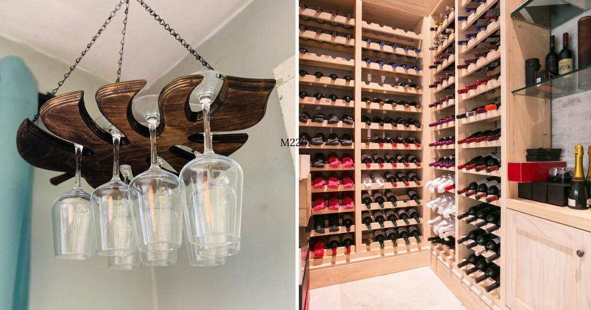 15 Carnations That Own The Most Unique Blossoms