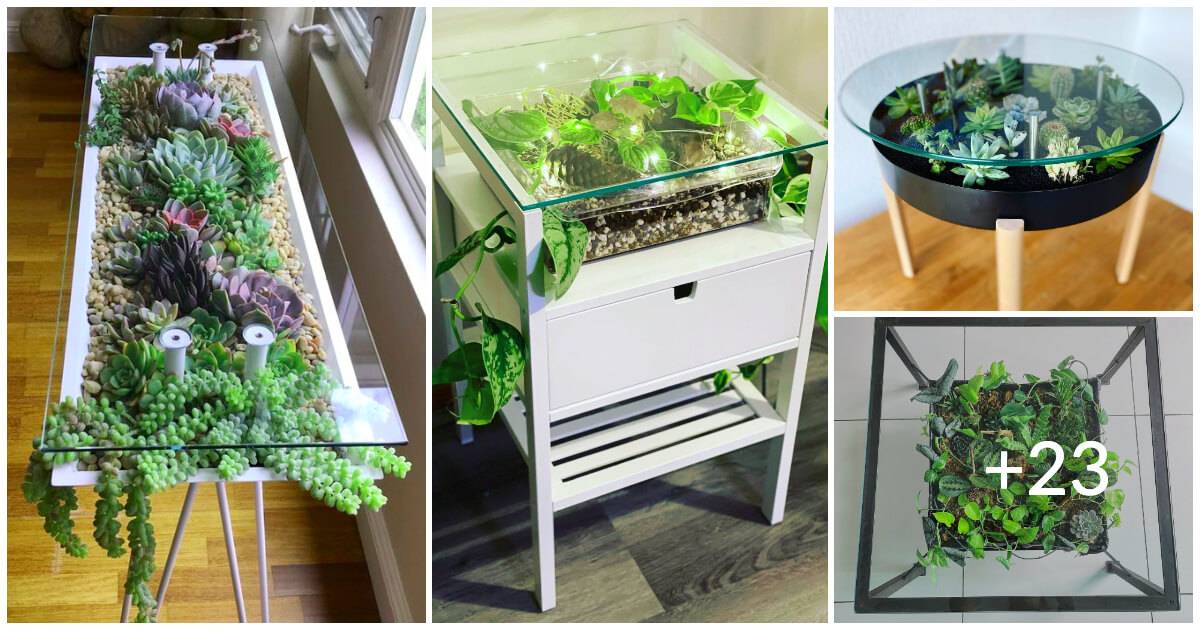 27 Terrarium Table Design And Ideas To Admire