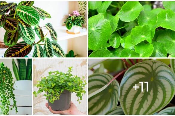 25 DIY Garden Centerpiece Ideas For Your Tabletop