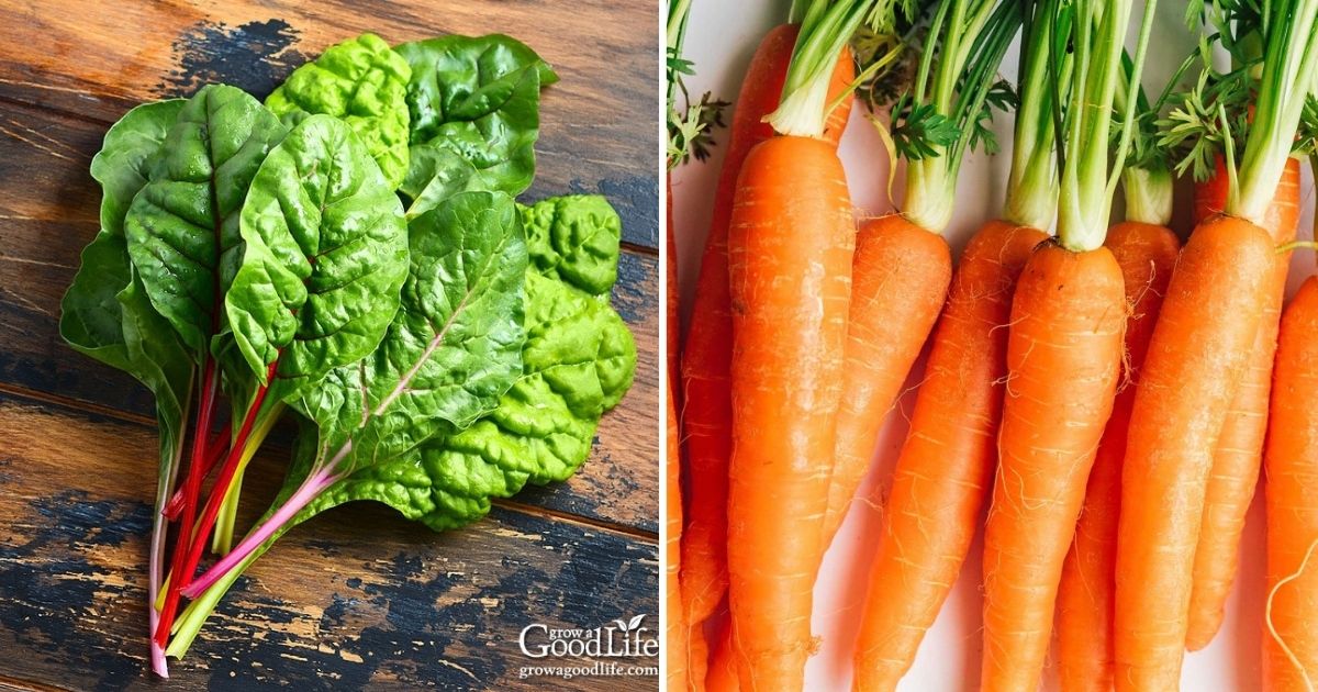 27 Meaningful Letter Tattoo Designs To Capture Everyone’s Attention