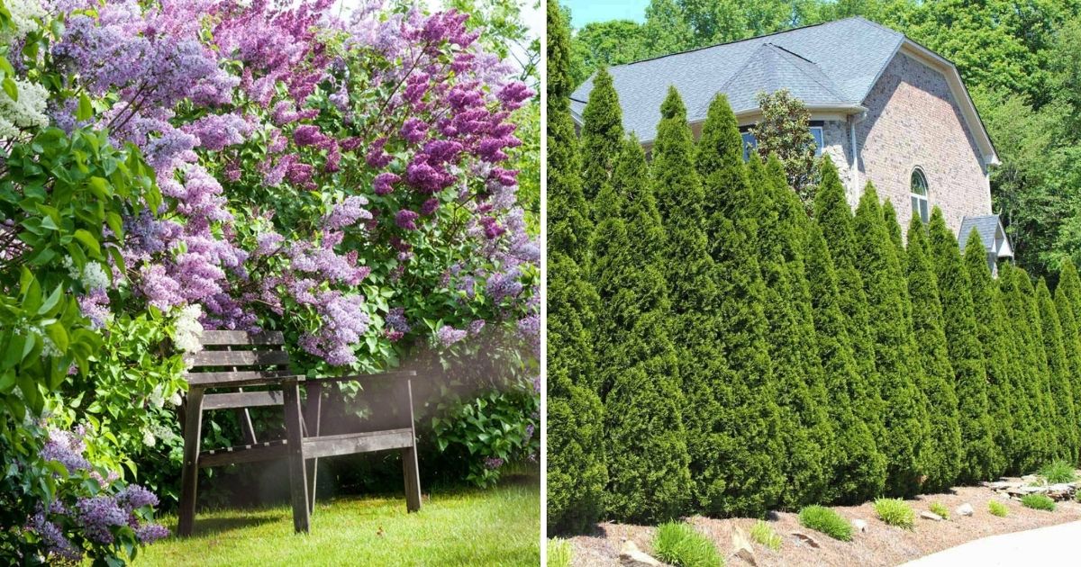 31 Super Fun and Creative DIY Projects to Upcycle Old Playing Cards