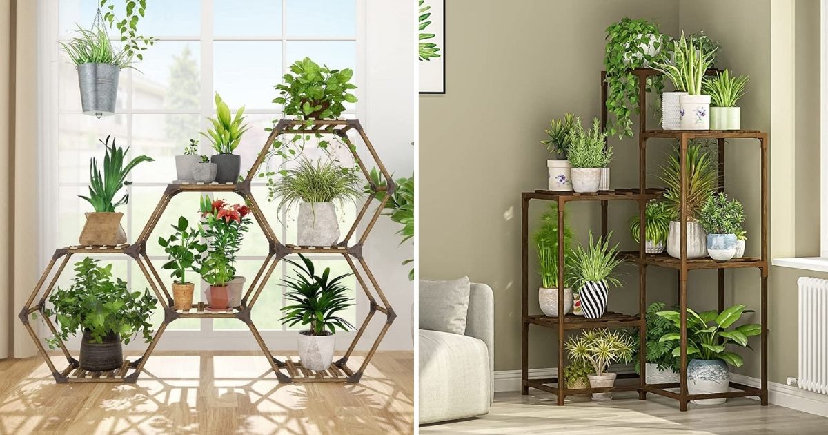 20 Bold And Eye-Catching Plant Stand Concepts