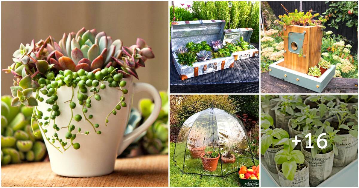21 Creative Garden Ideas Using Recycled Household Items
