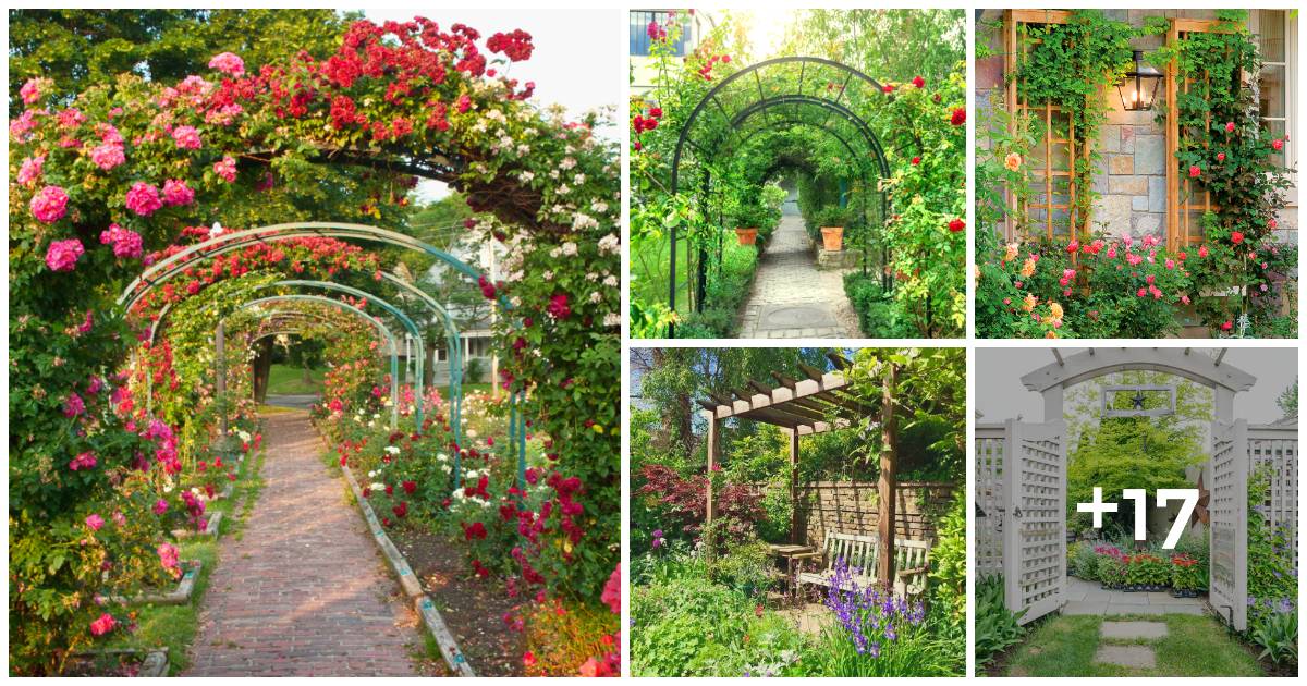 The Secrets Of A Picturesque Trellis Landscape Revealed