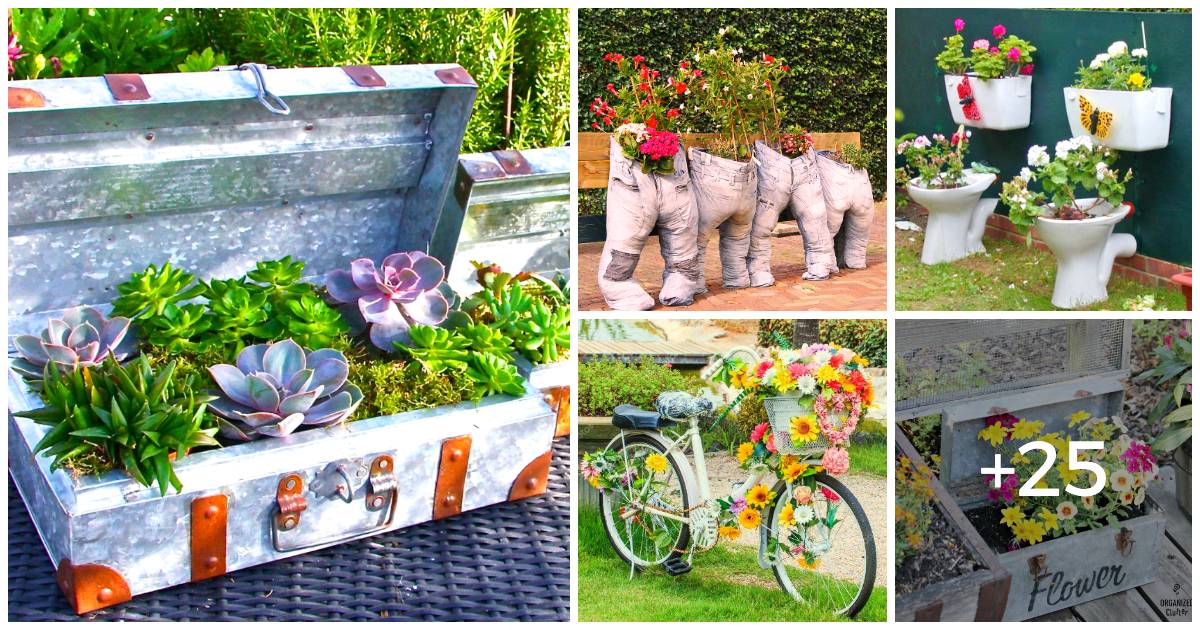 30 Container Gardening Ideas To Let Your Creativity Blossom