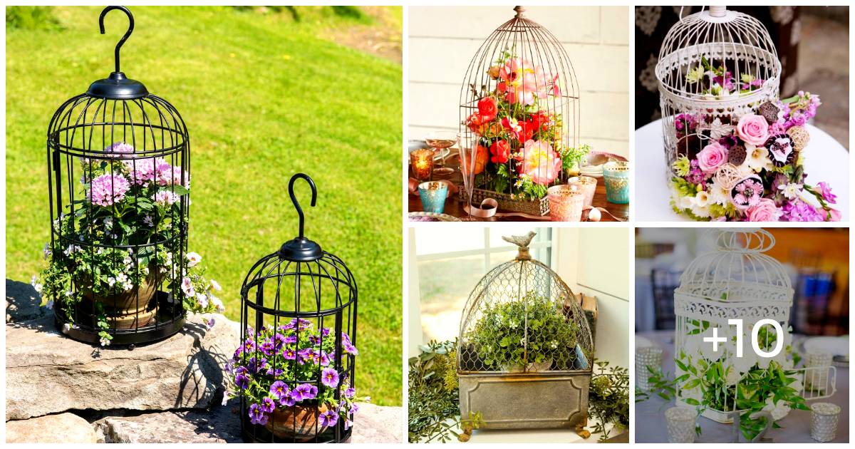 Enchant Your Kitchen Space With Beautiful Flower-Filled Cages