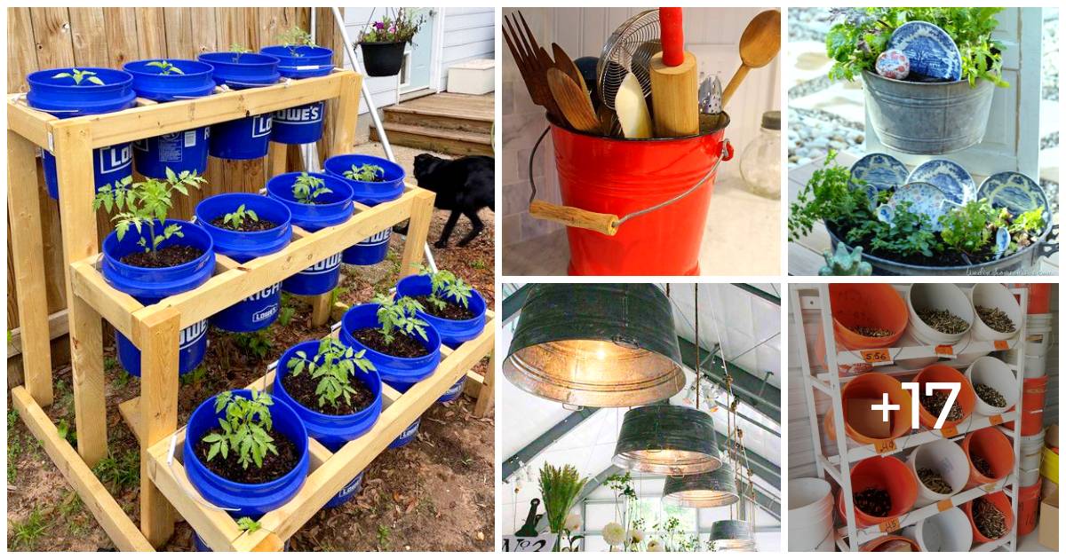22 Ingenious Ways To Give New Life To Old Buckets