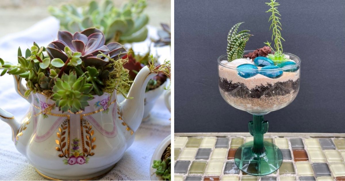 16 Astonishing DIY Cactus And Succulent Dish Gardens For Botanical Bliss