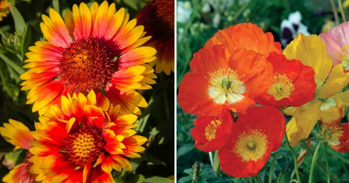 20 Maximizing Yield In Limited Space Garden Ideas