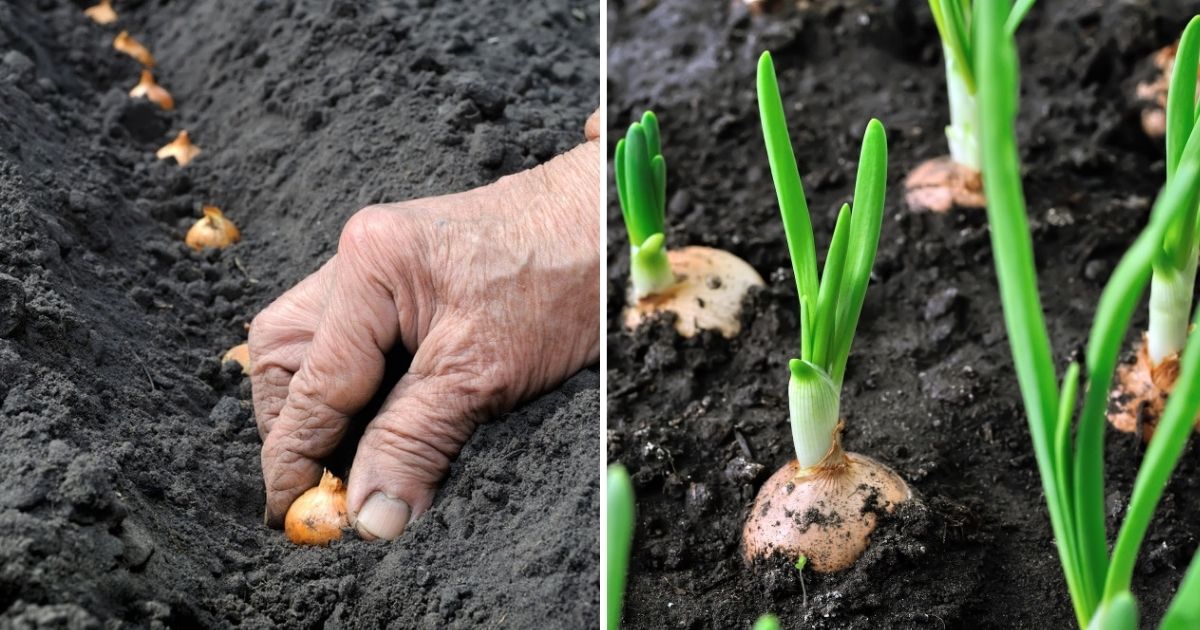 37 Brilliant Ways to Upcycle Old CDs Instead of Tossing Them