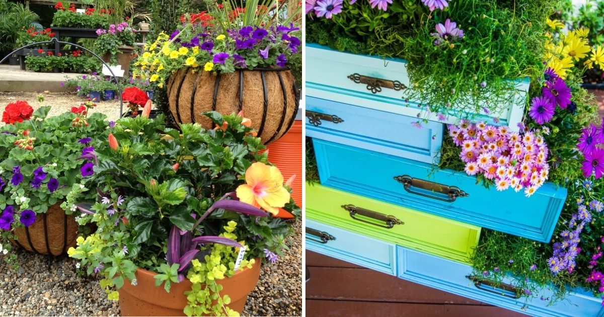 30 Container Gardening Ideas To Let Your Creativity Blossom