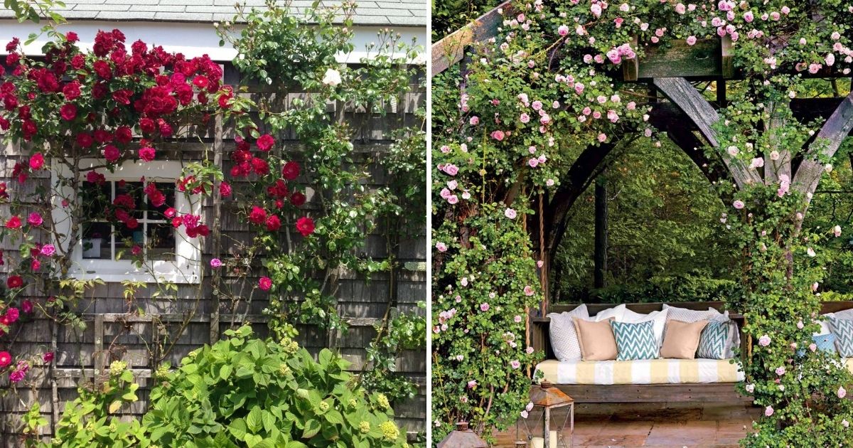 30 Creative Chicken Coop Ideas to Optimize Space for Your Flock