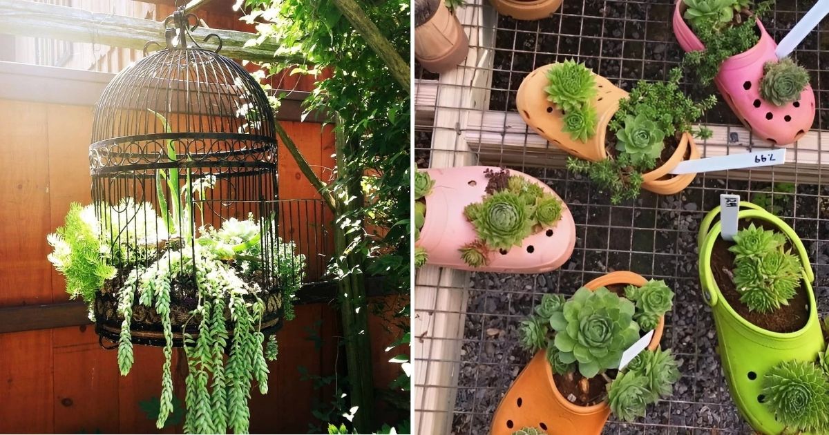 16 Unique Garden Containers To Elevate Your Landscape