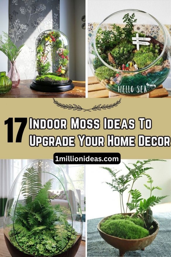 17 Cant-Miss Indoor Moss Ideas To Upgrade Your Home Decor