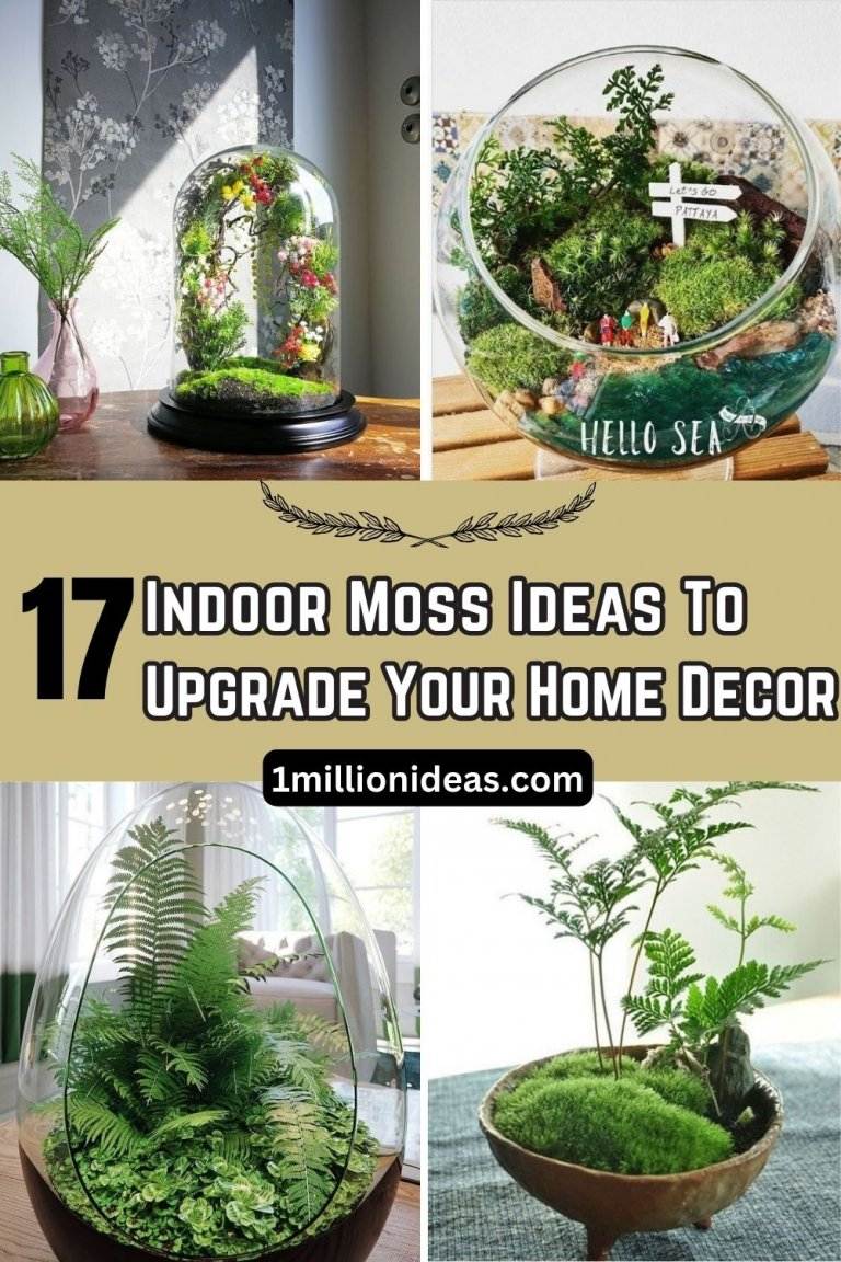 17 Cant-Miss Indoor Moss Ideas To Upgrade Your Home Decor