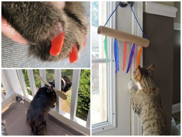 35+ Expert Tips And Secrets To Improve Your Bond With Your Feline Pal