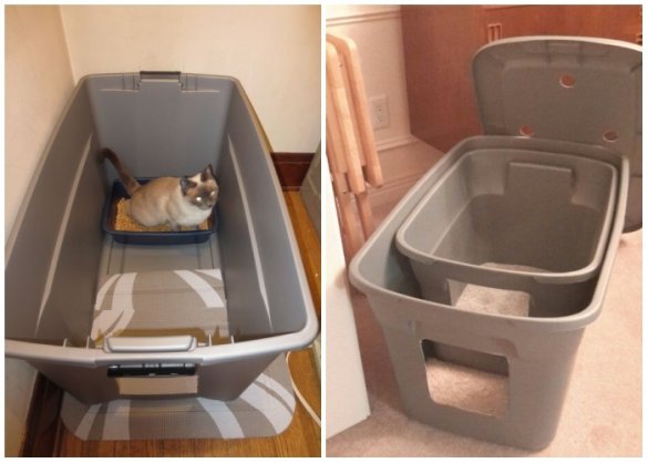 35+ Expert Tips And Secrets To Improve Your Bond With Your Feline Pal