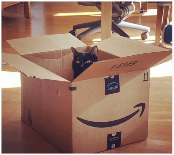 35+ Expert Tips And Secrets To Improve Your Bond With Your Feline Pal