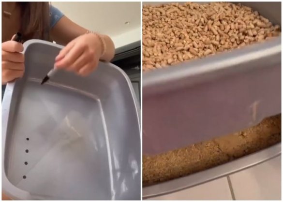 35+ Expert Tips And Secrets To Improve Your Bond With Your Feline Pal