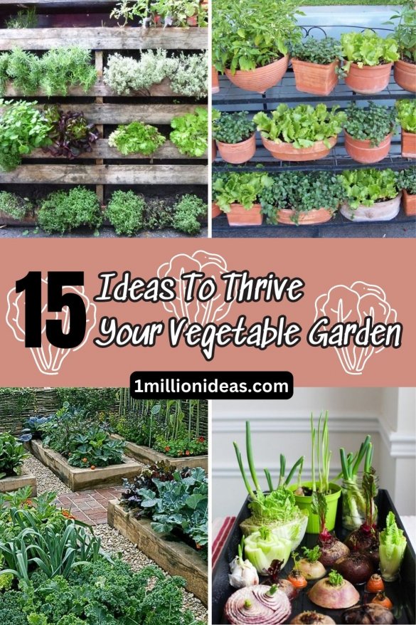 From Seed To Dish: 15 Ideas To Thrive Your Vegetable Garden