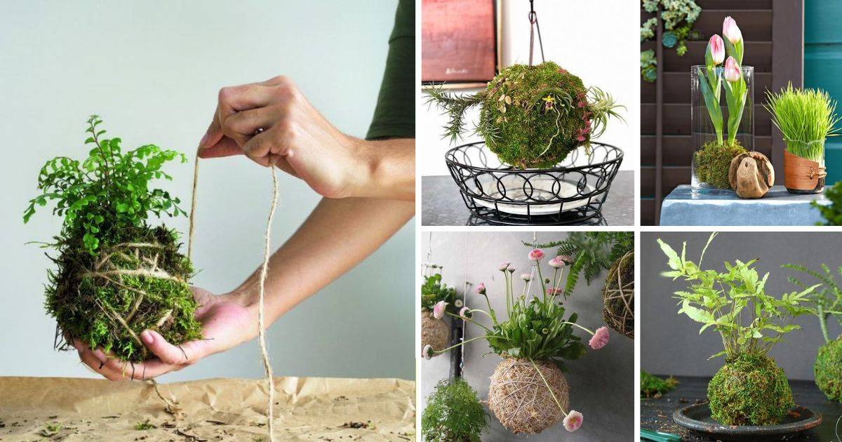 How to Make A Kokedama: A Step-by-Step Guide To The Japanese Art of ...