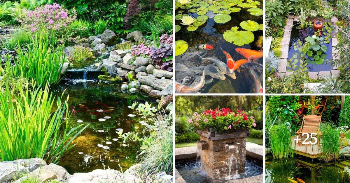 30 Backyard Pond Ideas You’ll Love: From Modern to Rustic