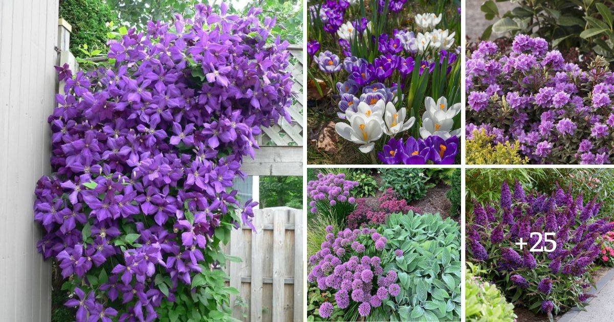 30 Enchanting Landscaping Ideas With Gorgeous Purple Plants