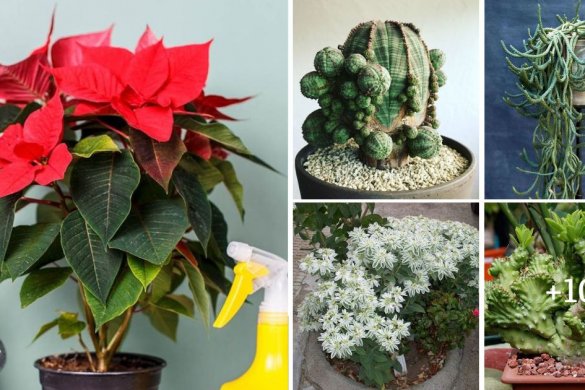 30 Face Planters That Will Make You Smile: From Funny To Fierce