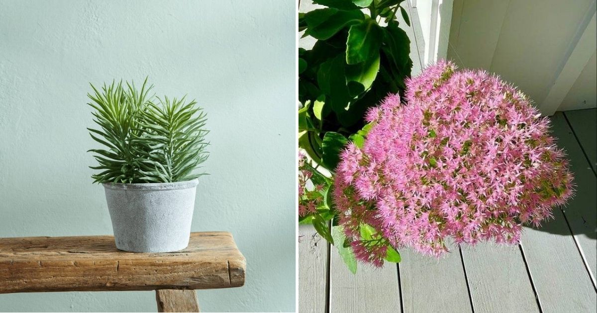 30 Impressive Front Yard Ideas To Boost Curb Appeal